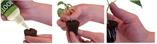 Rootit cloning and rooting Gel 150ml – Biohydro